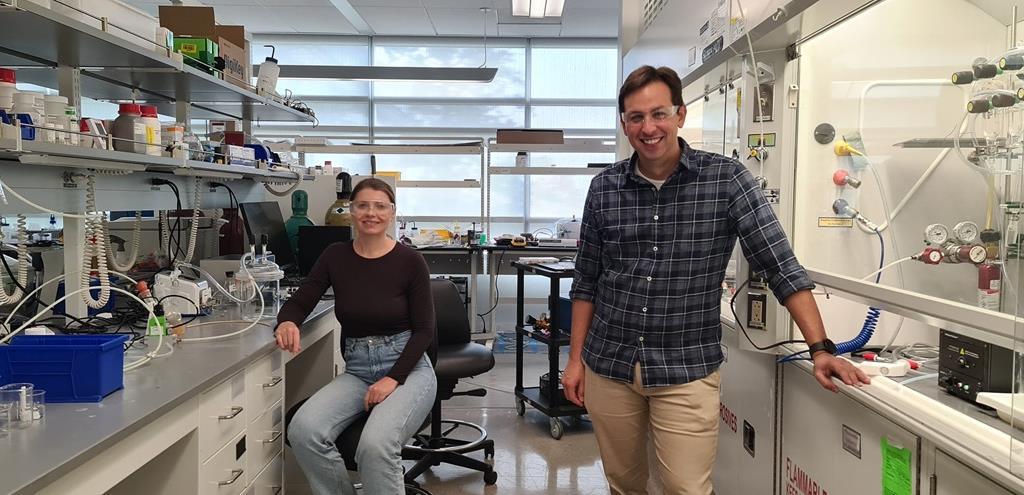 Clay technology could extend fresh produce shelf life and cut food ...